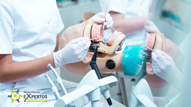 Desarrollando eXpertos